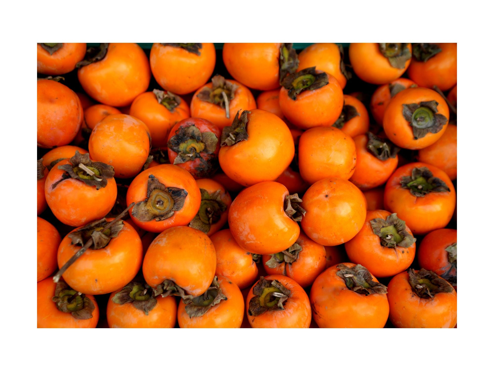 Autumn Salad with Persimmons and Apples – Tristar Plants