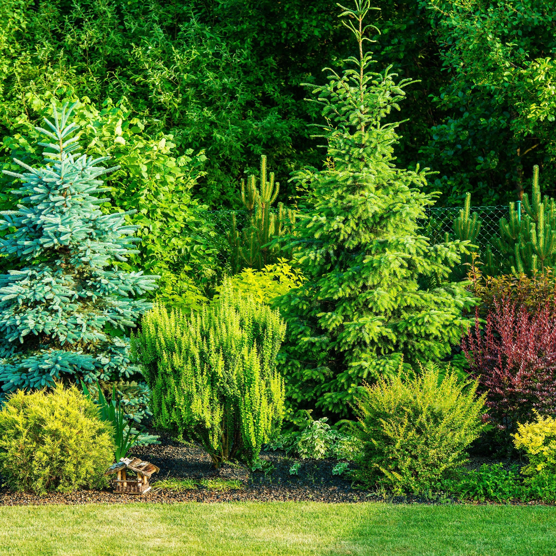 Shop the Look – Tristar Plants