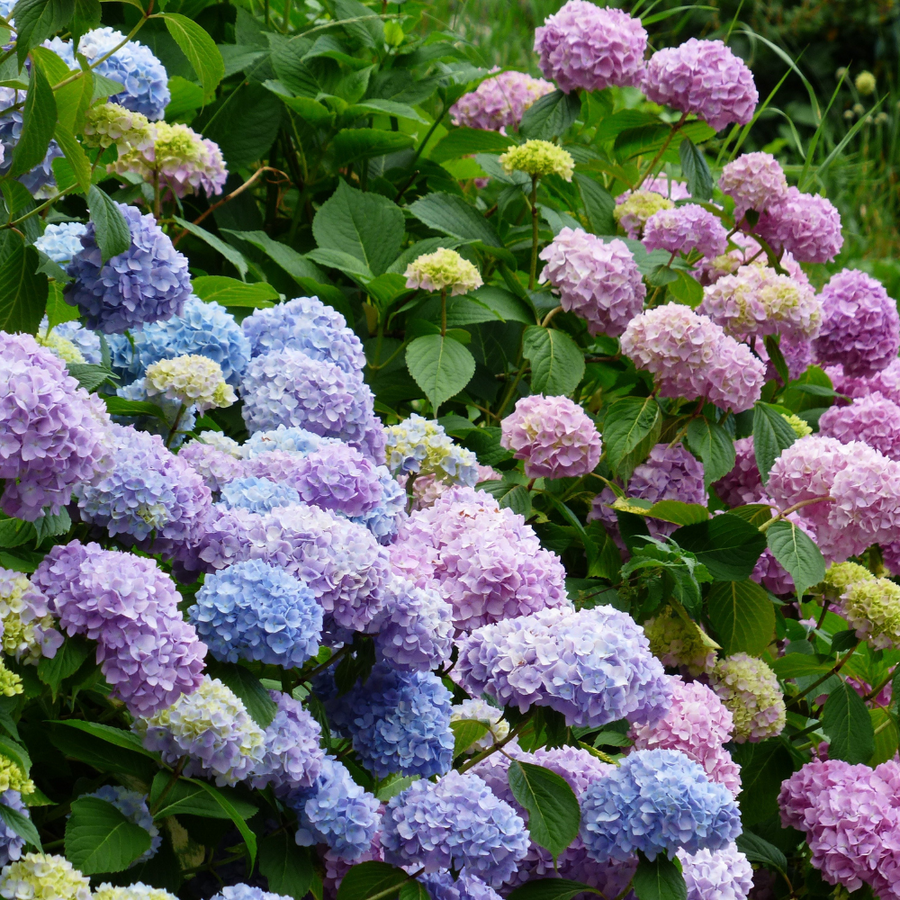 Explore our new Additions